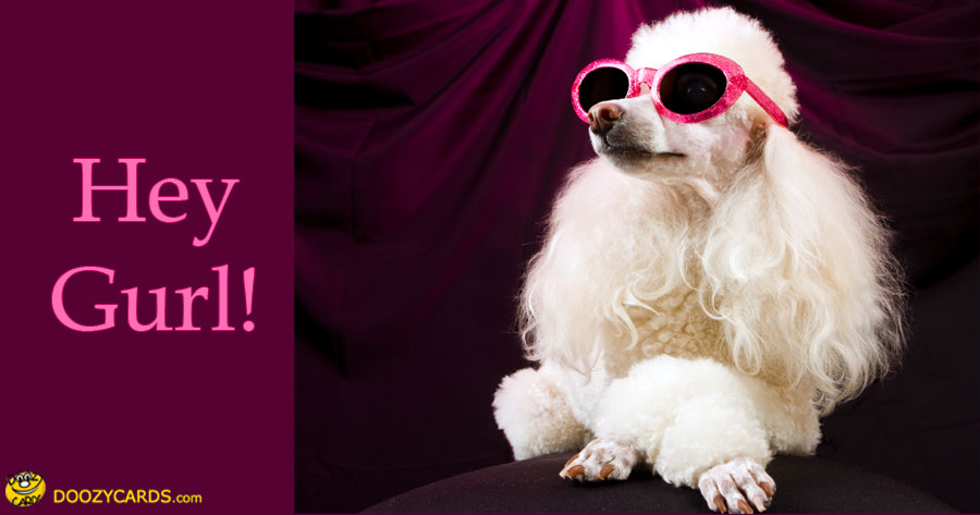 Hey Gurl!, View the Popular Hey Gurl! eCard